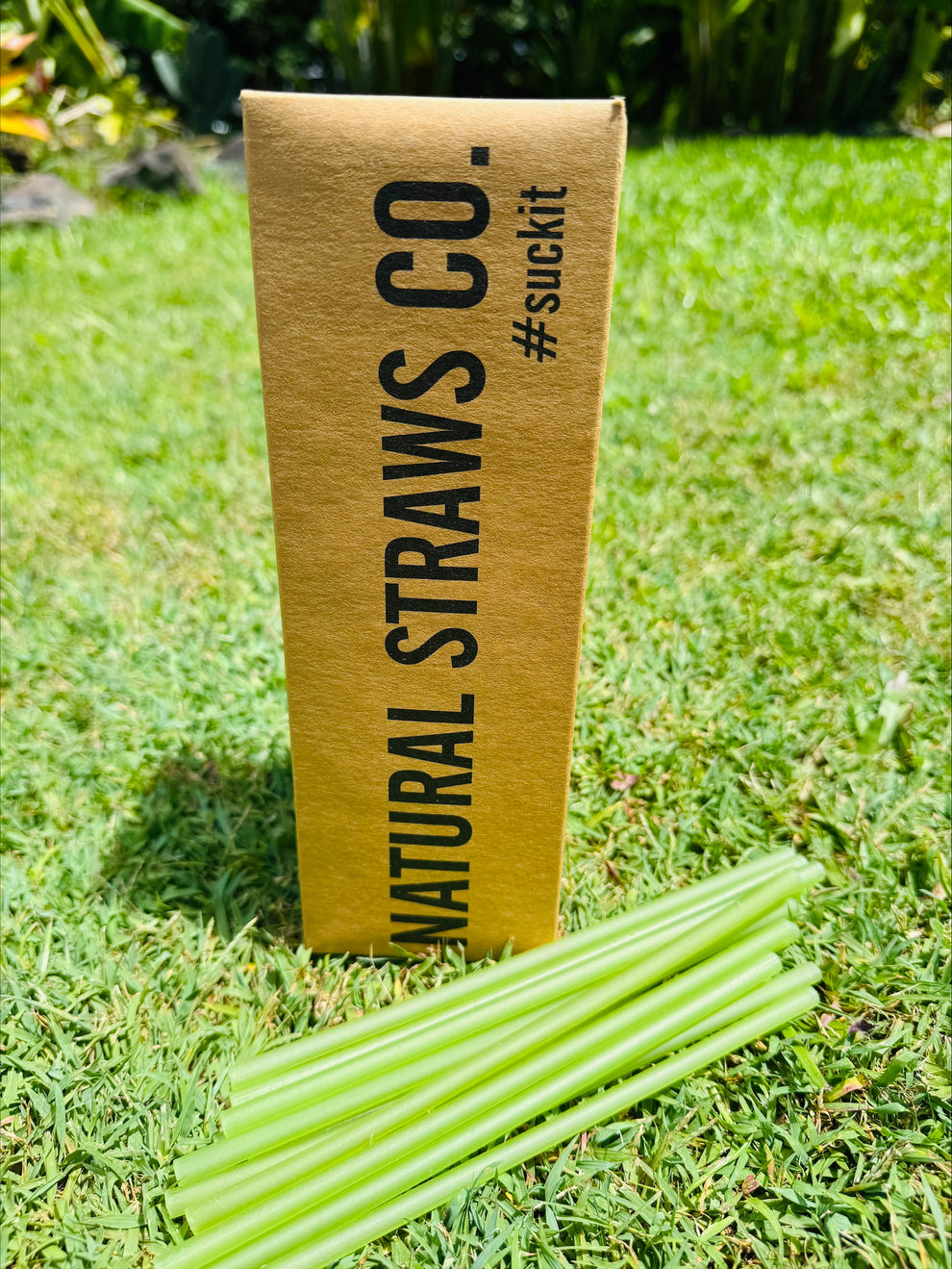 Natural Rice Pasta Straws DRINKING - Green BULK 100 PACK 6mm x 200mm ...